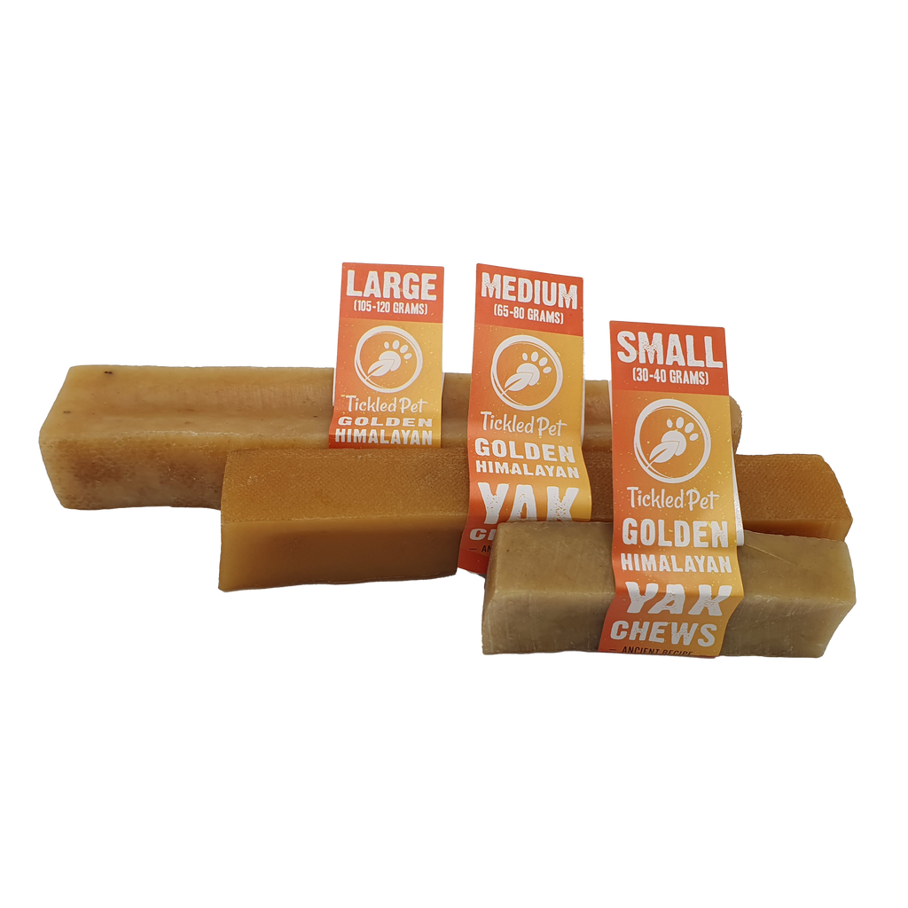 Golden Himalayan Yak Chew - Single Units